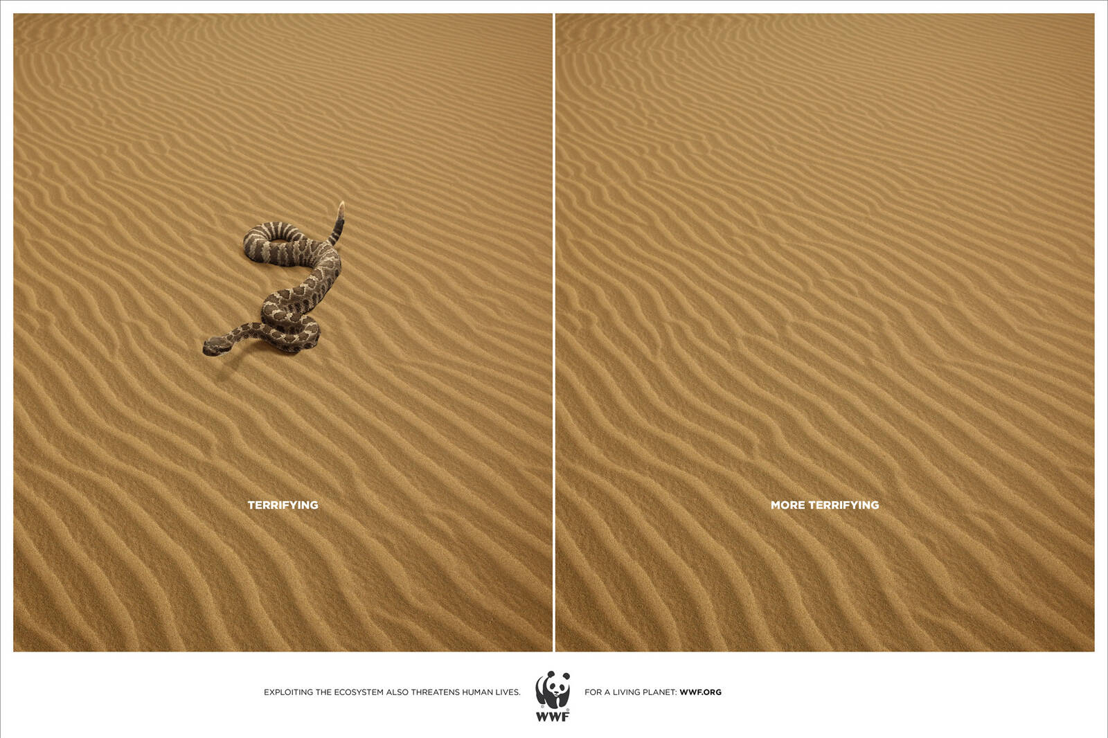 WWF: Snake • Ads of the World™ | Part of The Clio Network
