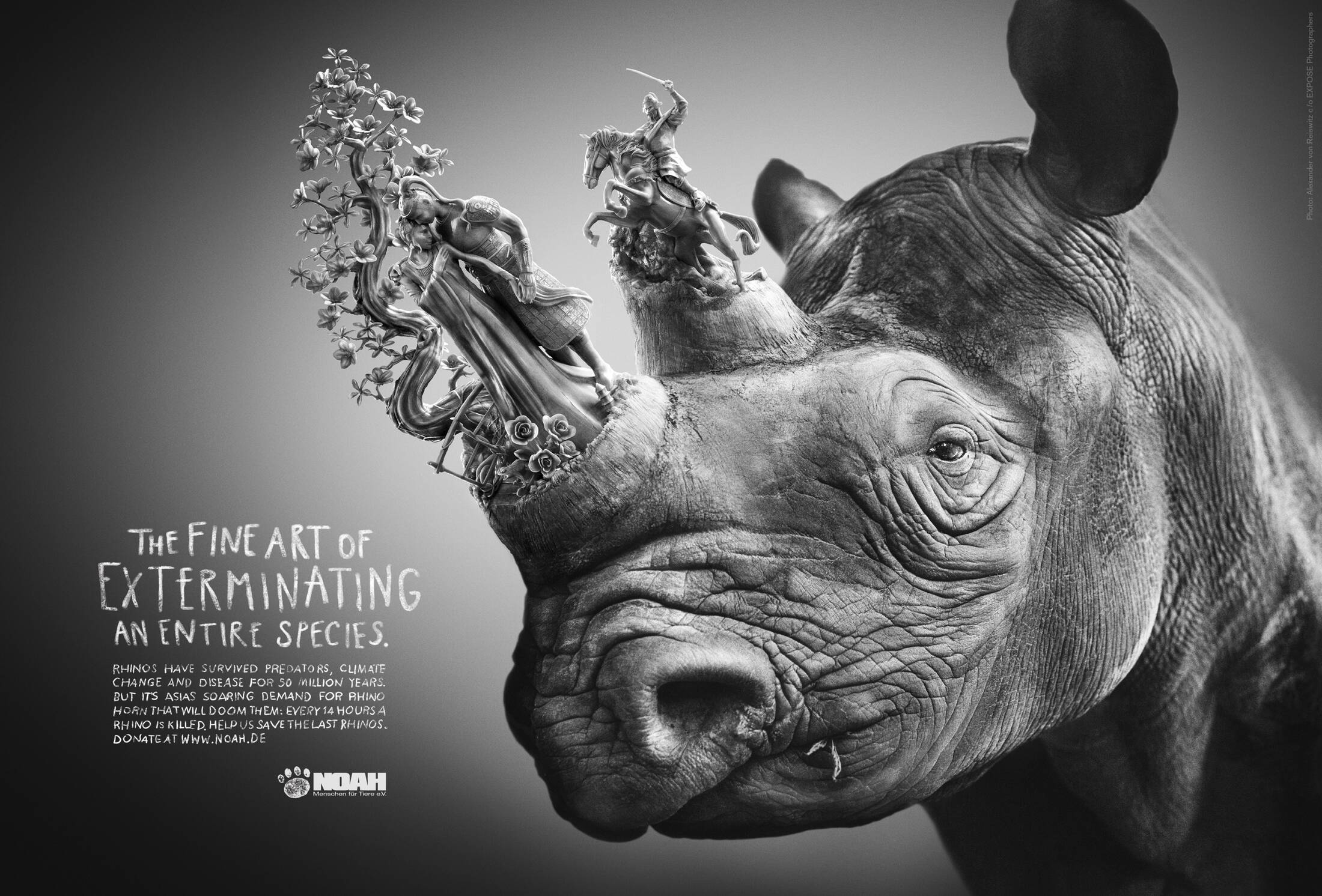 Noah Rhino Ads Of The World Part Of The Clio Network