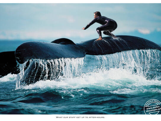 Quintippio • Ads of the World™ | Part of The Clio Network