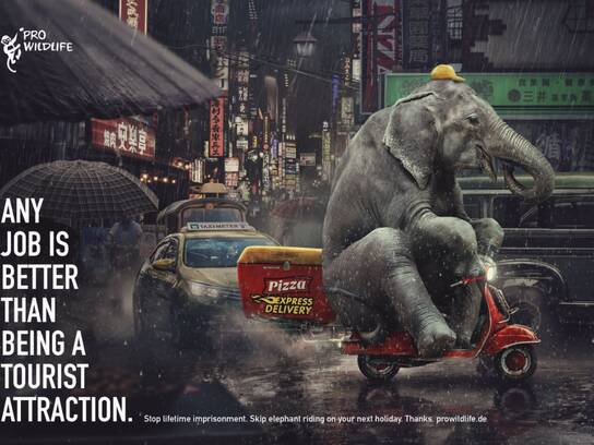 ING: An Office Just For One • Ads of the World™ | Part of The Clio Network