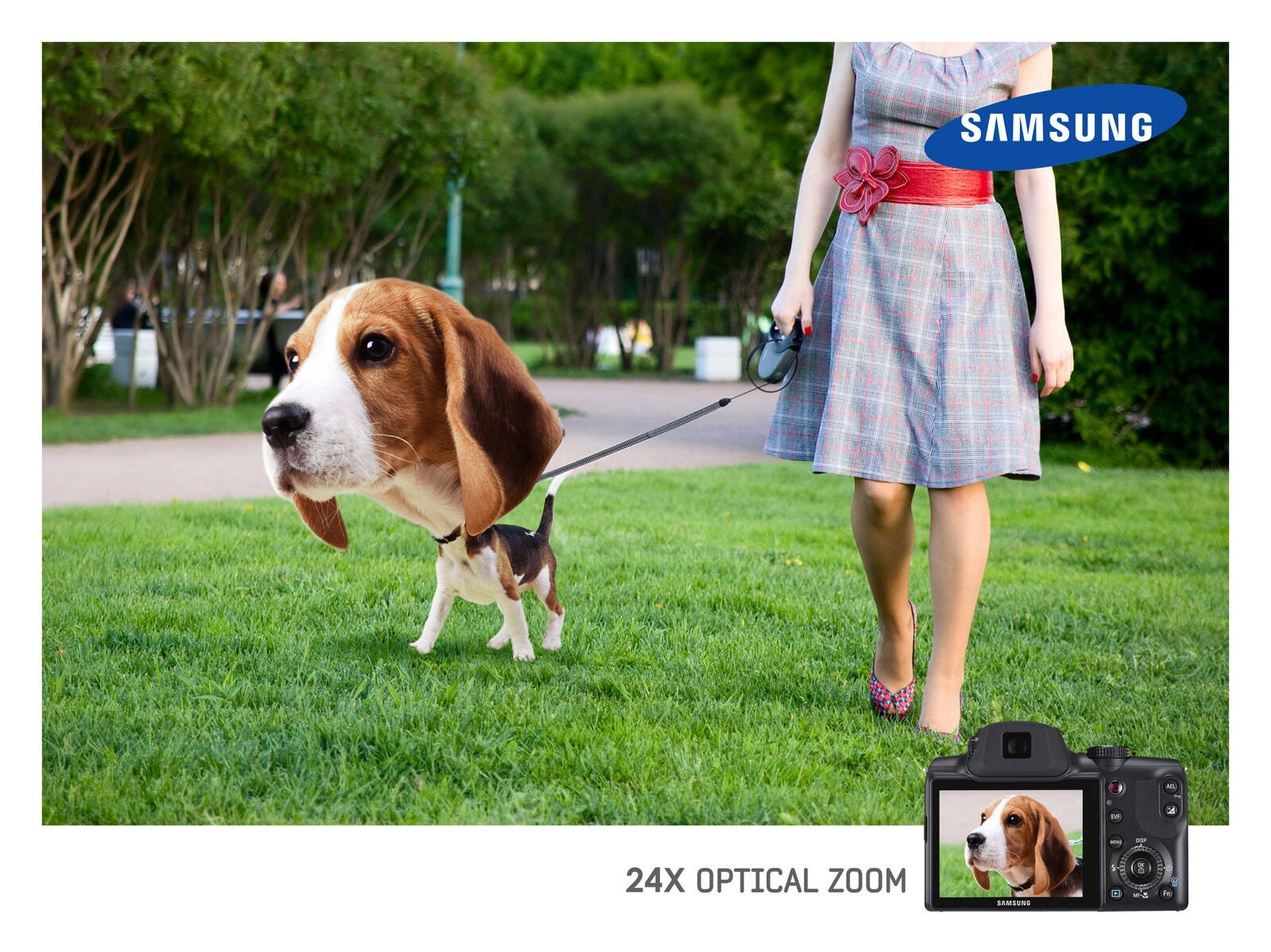 Samsung Optical Zoom Statue Optical Zoom Beach Optical Zoom Dog