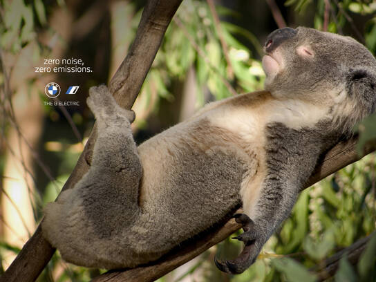 BMW: The World's Longest Banner • Ads of the World™ | Part of The Clio ...