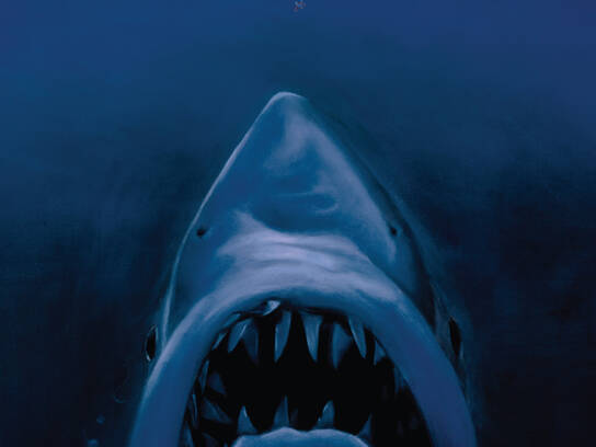 Dolphin • Ads of the World™ | Part of The Clio Network