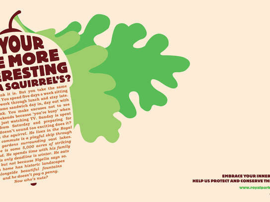 The National Council for Coordination of HIV Prevention: Chlamydia ...