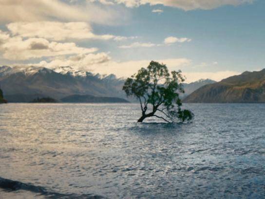 Land Rover: Edible Desert Survival Guide • Ads of the World™ | Part of ...